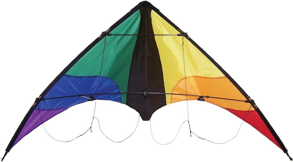 5 Best Dual Line Stunt Kite for Beginners in 2025 - Kite Flying Info