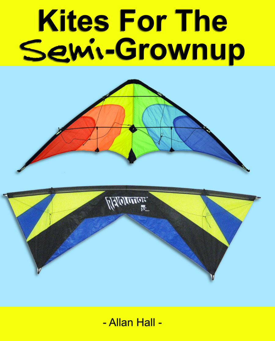 Kites For The Semi-Grownup Book! - Kite Flying Info